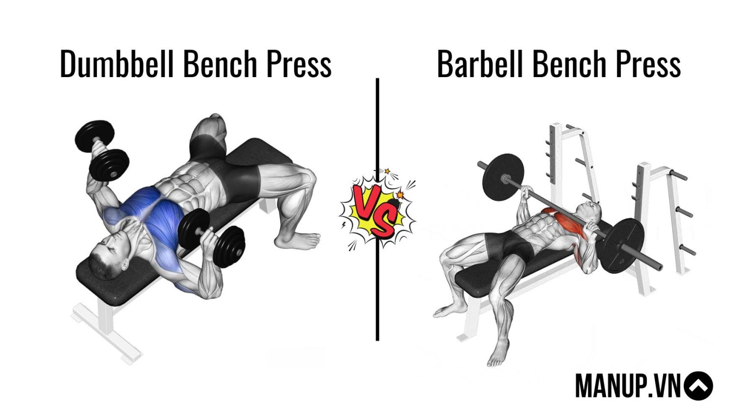 Cách Tập Dumbbell Bench Press Đúng Kỹ Thuật