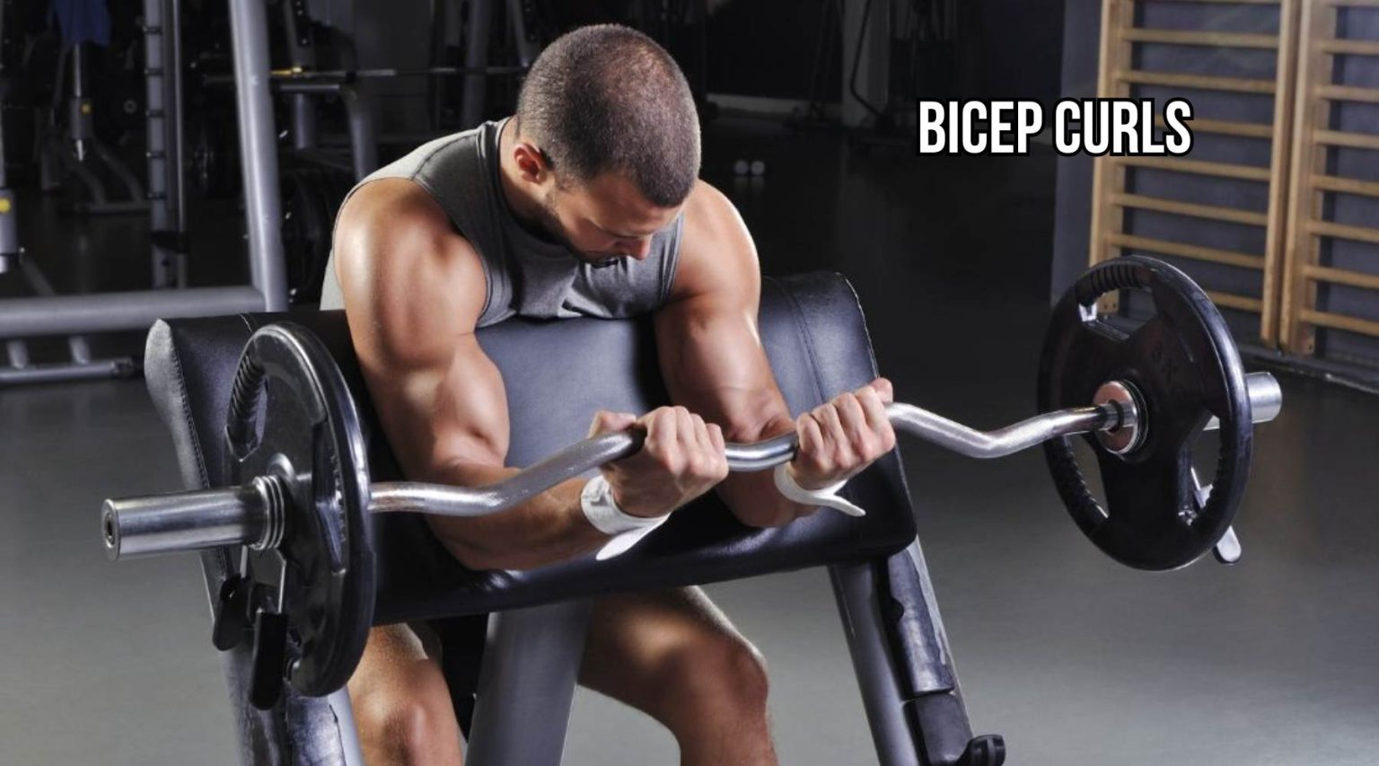 Bài Tập Isolation Là Gì ? Các Bài Tập Isolation Cho Nam Tốt Nhất Theo ...