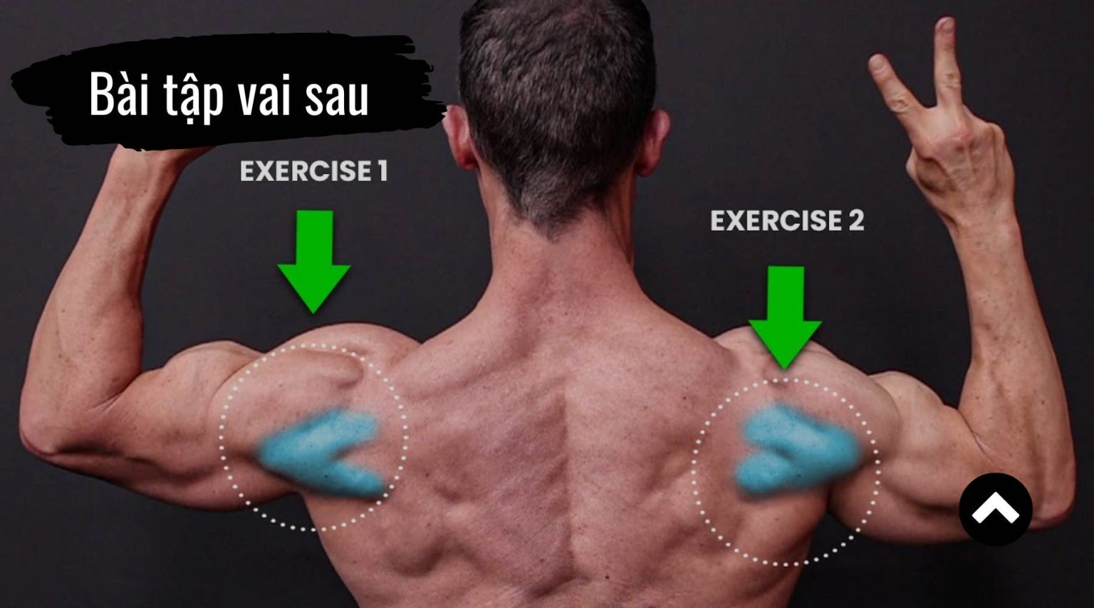 18 Bài Tập Vai Cho Nam Tại Gym - Vai Trước, Vai Giữa, Vai Sau, Cầu Vai