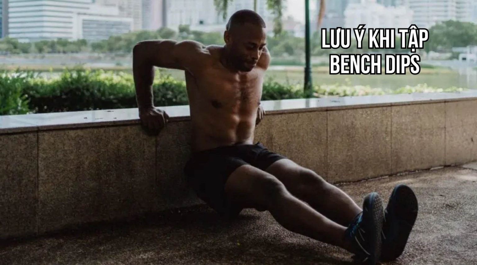Bench Dips Là Gì ? Cách Tập Đúng Kỹ Thuật Tăng Cơ Tay Sau Nhanh Nhất