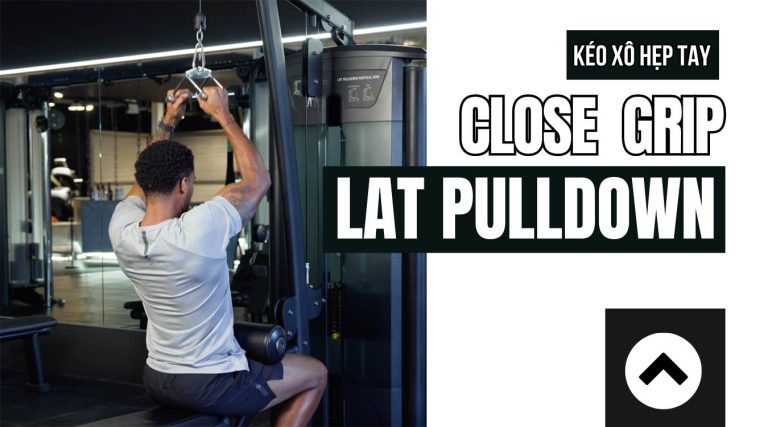 Bài Tập Lưng Xô Close Grip Lat Pull Down là gì ? Cách Tập Tạo Cơ Xô Siêu Dày Và Săn Chắc