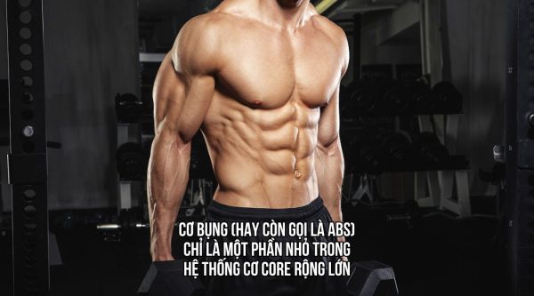 Cơ core là gì ? Tầm quan trọng và vai trò của cơ core