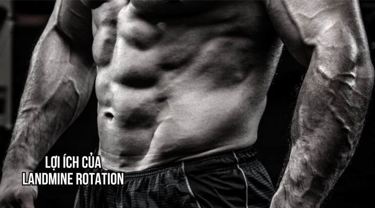 Landmine Rotation Là Gì? Bí Quyết Sở Cơ Xiên Săn Chắc Và Cách Tập Hiệu ...
