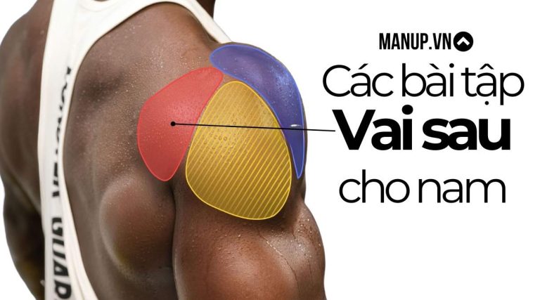 Top 10 bài tập vai sau cho nam tốt nhất tạo cơ vai 3d