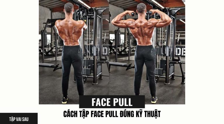 Cách tập Face Pull đúng kỹ thuật có video hướng dẫn - Manup